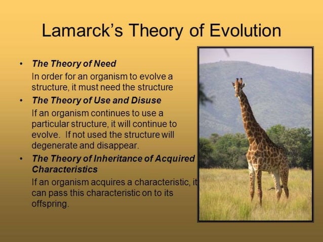 Lamarckism and neolamarkism | PPT | Biological Sciences | Science