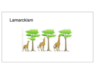 Diferenças entre Lamarckism e Evolution.pdf