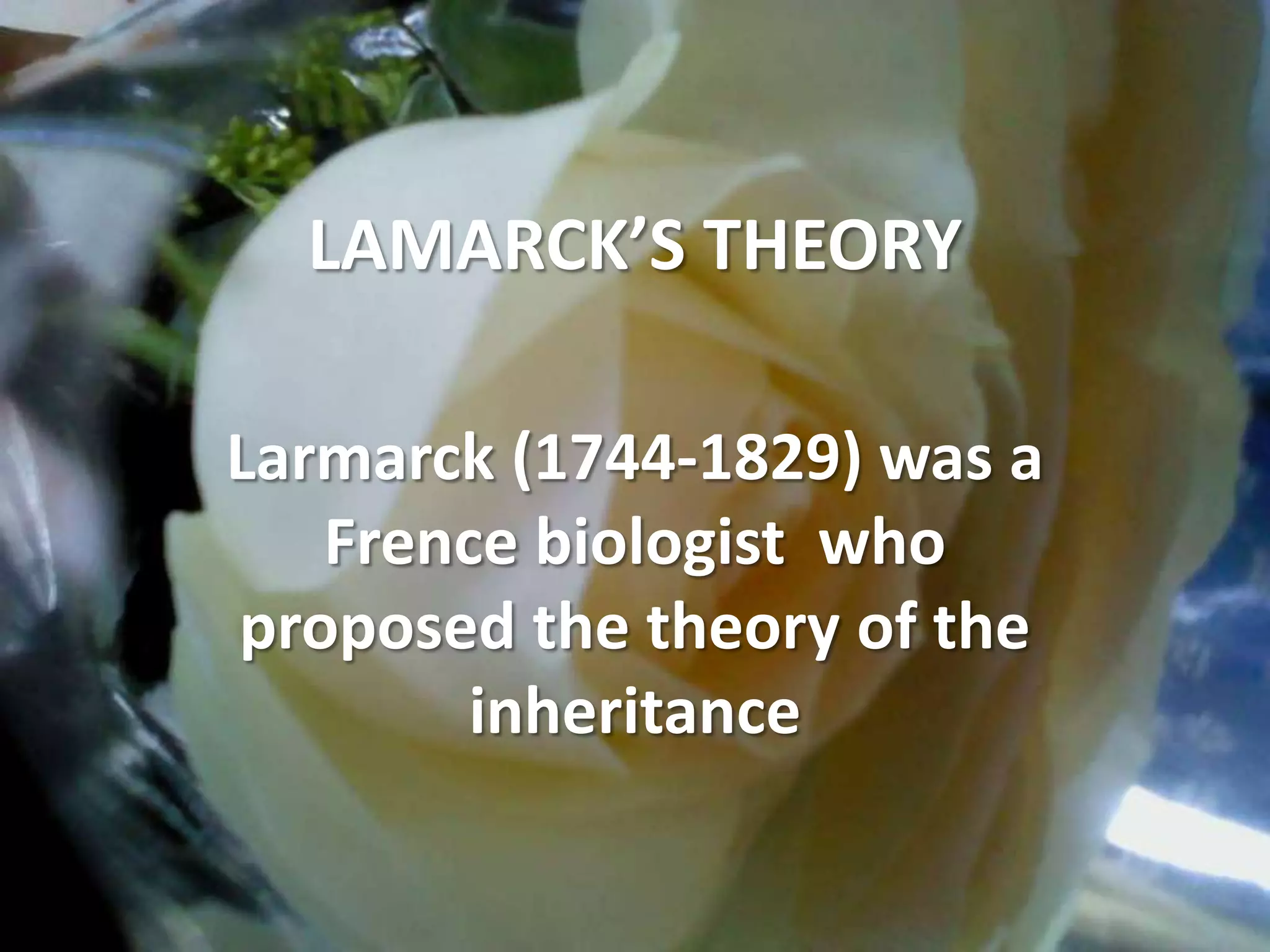 Lamarck’s theory | PPTX