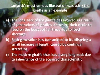 Lamarck’s theory | PPTX