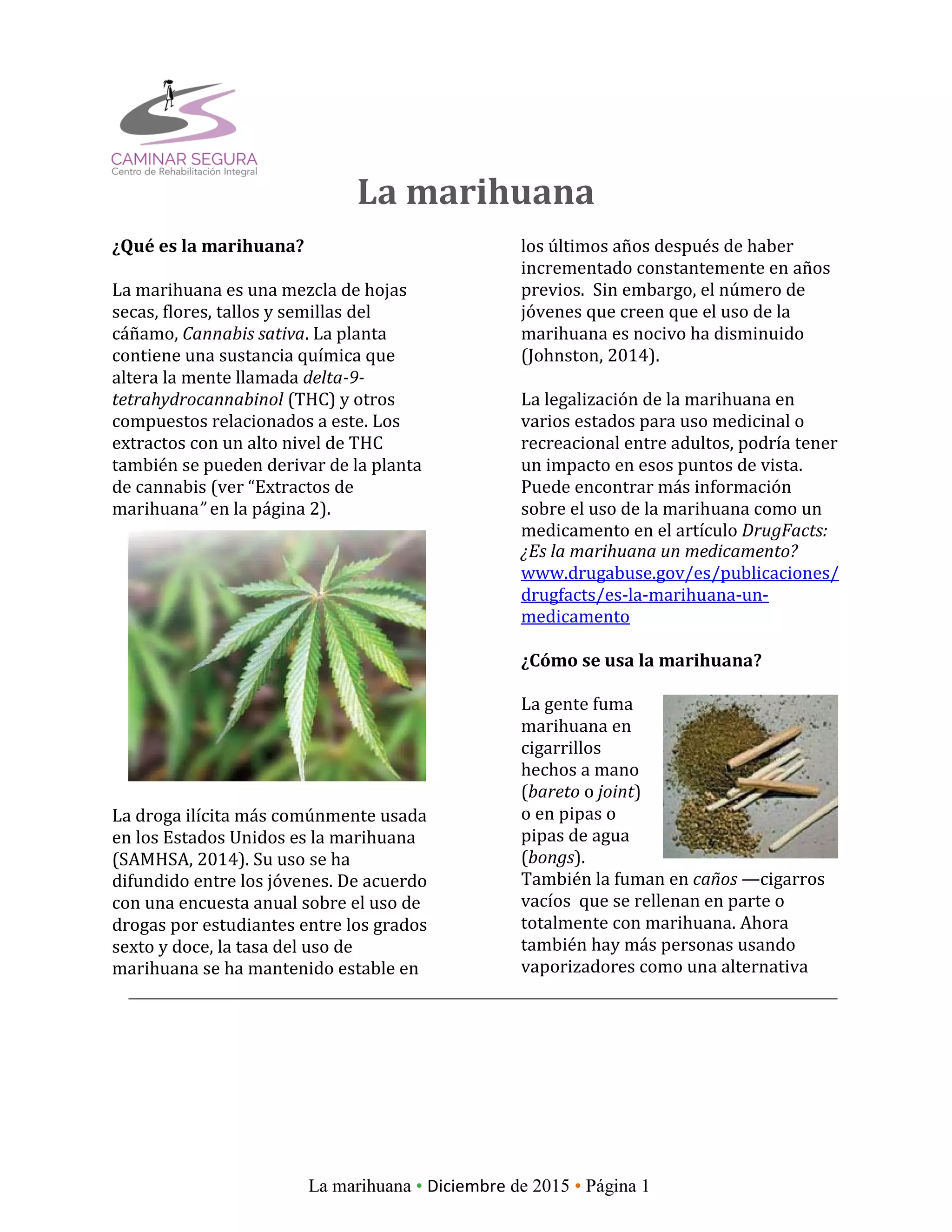 Todo lo que necesitas sobre la marihuana | PDF