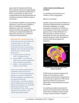 Todo lo que necesitas sobre la marihuana | PDF