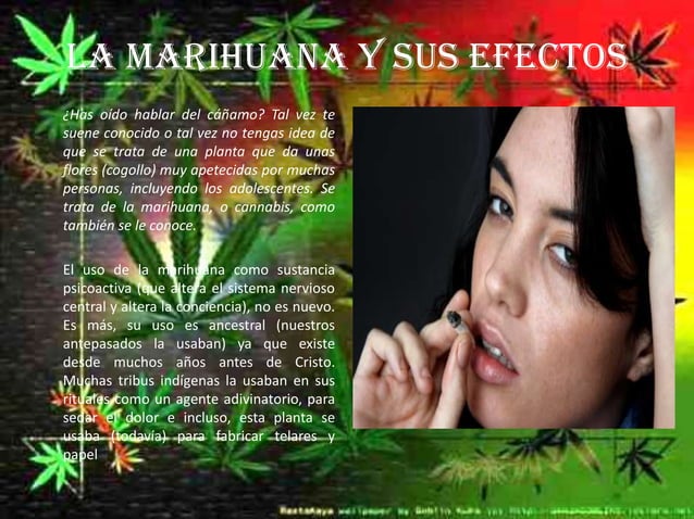 La Marihuana Y Sus Efectos Pptx