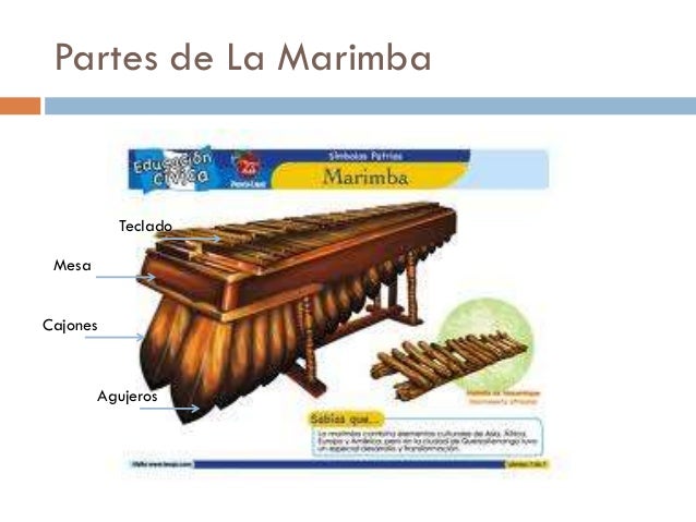 La marimba – instrumentos nacional de guatemala