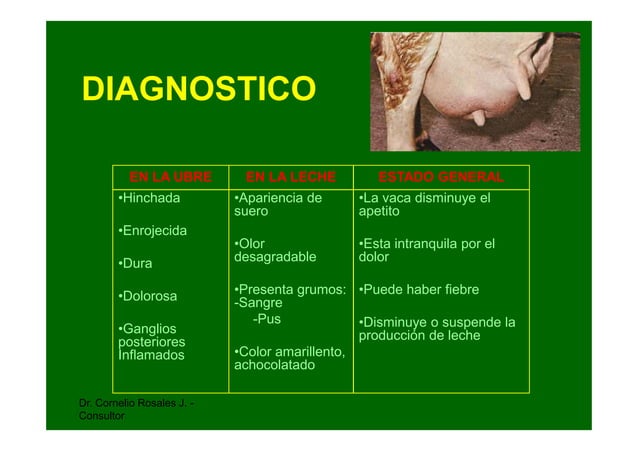 La mastitis [modo de compatibilidad] | PPT