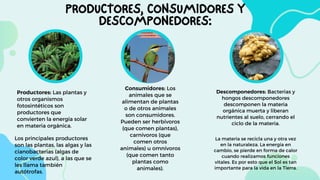 La materia y la energía en los ecosistemas | PPT