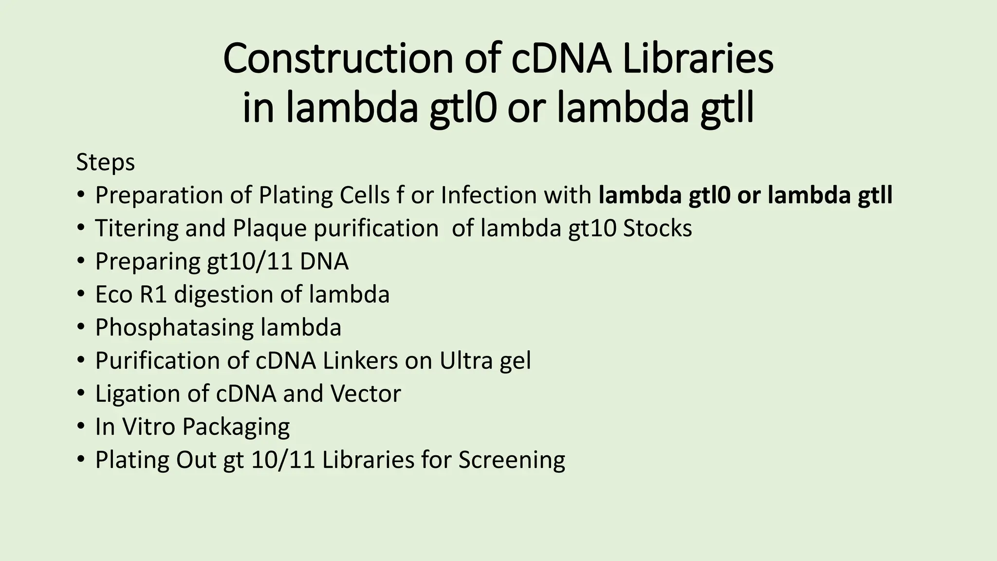 lambda bacteriophage.pptx