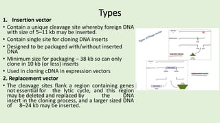 lambda bacteriophage.pptx