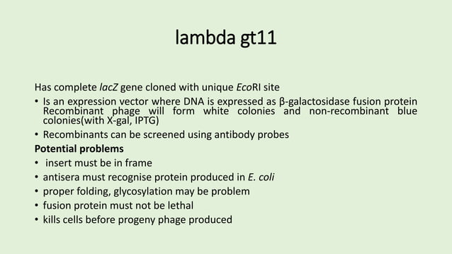 lambda bacteriophage.pptx | Biotech and Biomedical Industry | Industries