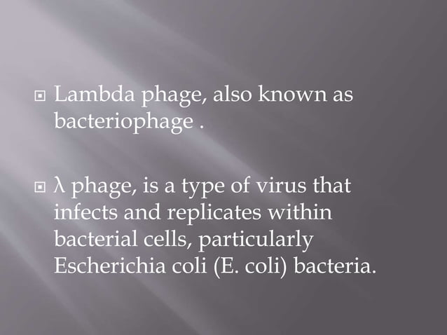 Lambda Phage Reproduction Ppt
