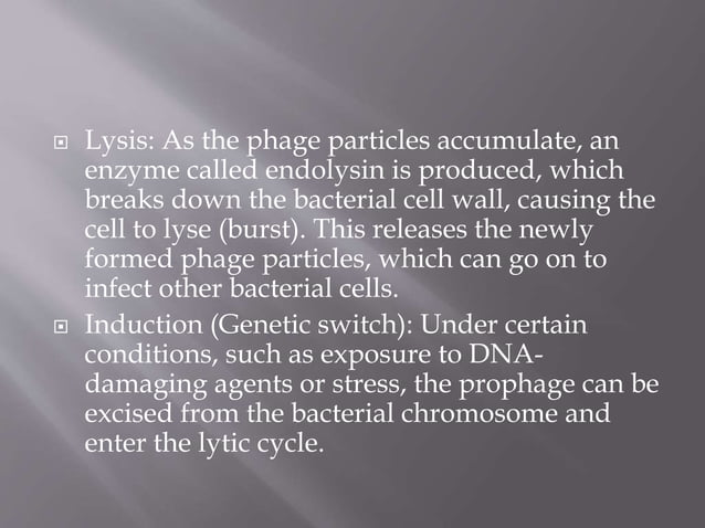 Lambda Phage Reproduction Ppt Free Download