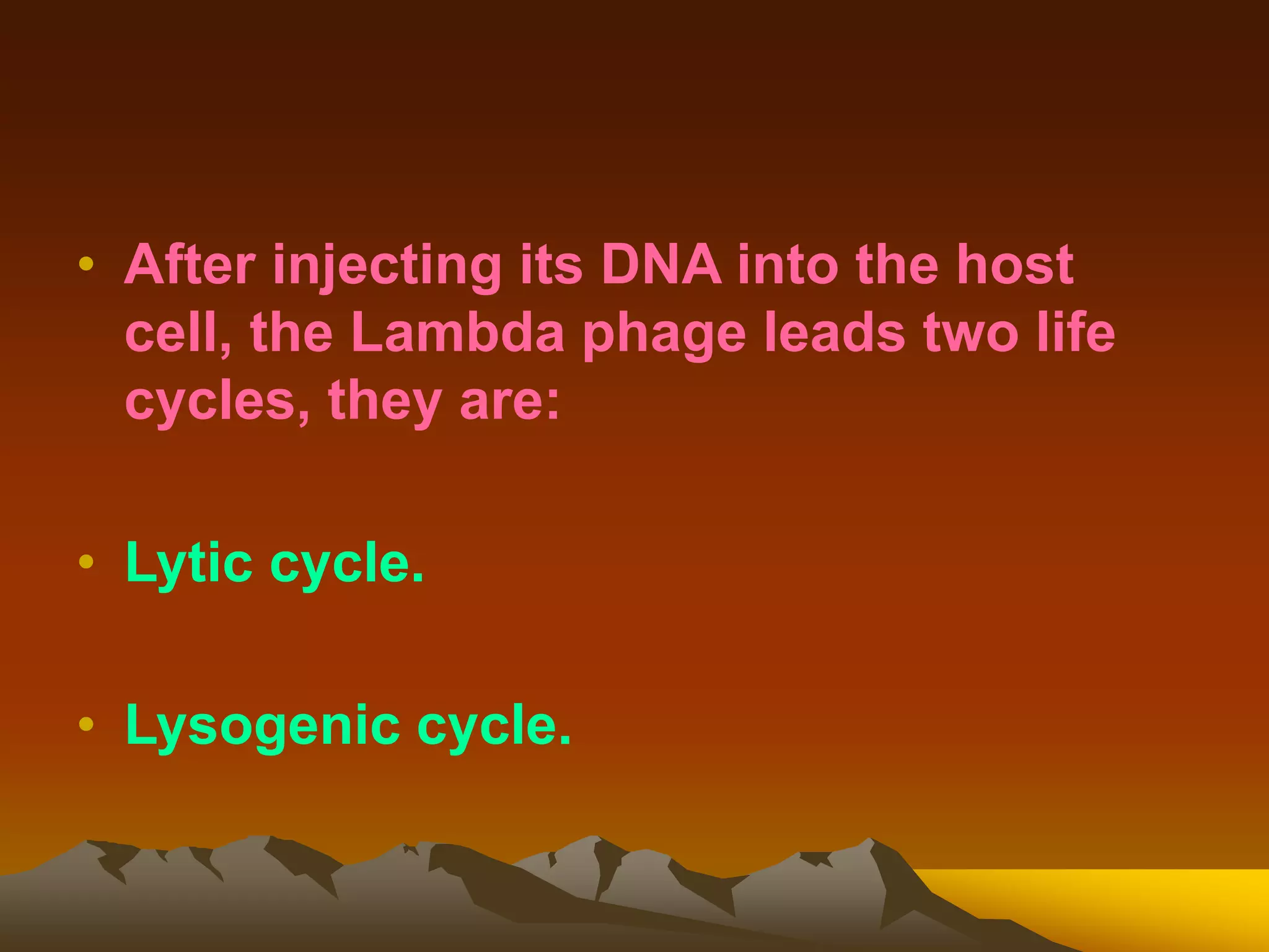 lambda str & life cycle.ppt