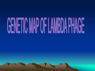 lambda str & life cycle.ppt