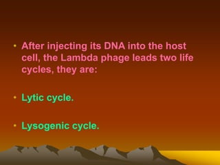 lambda str & life cycle.ppt
