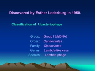 lambda str & life cycle.ppt