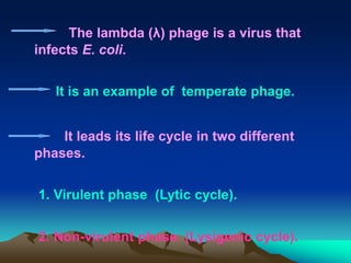 lambda str & life cycle.ppt