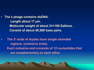 lambda str & life cycle.ppt