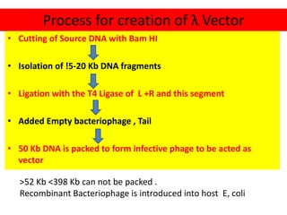 Lambda vector | PPT