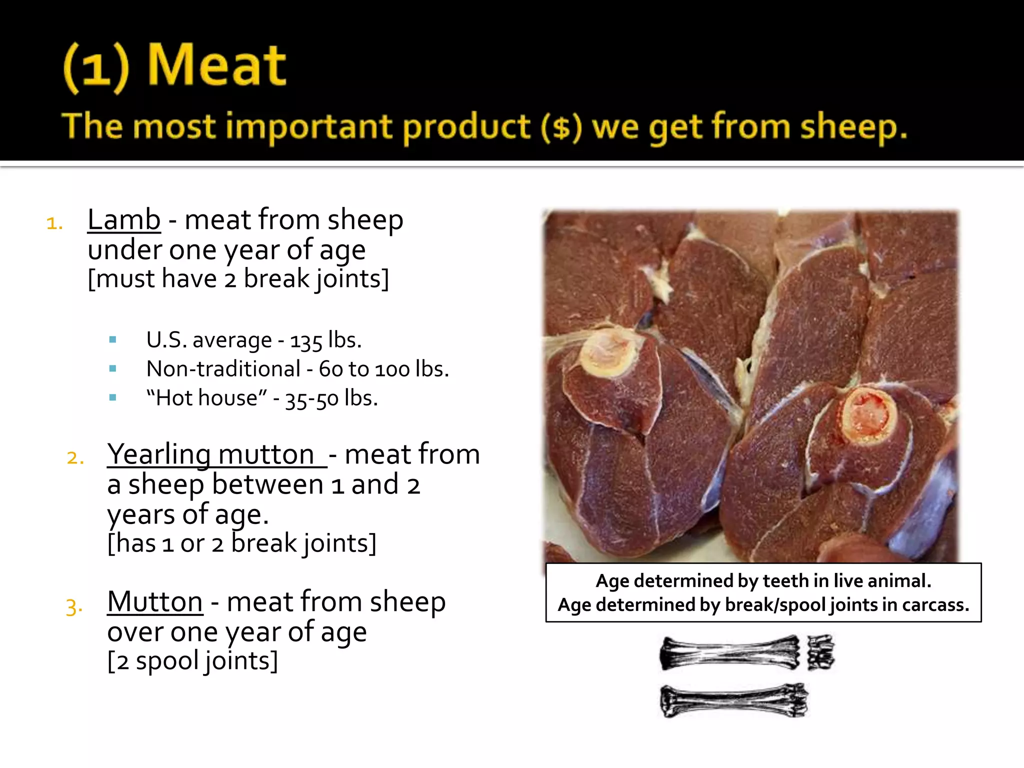 Marketing sheep products | PPTX