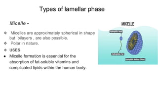 Lamellar phase.pptx