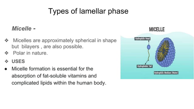 Lamellar phase.pptx