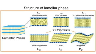 Lamellar phase.pptx