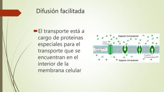 La membrana celular y mecanismos de transporte | PPTX