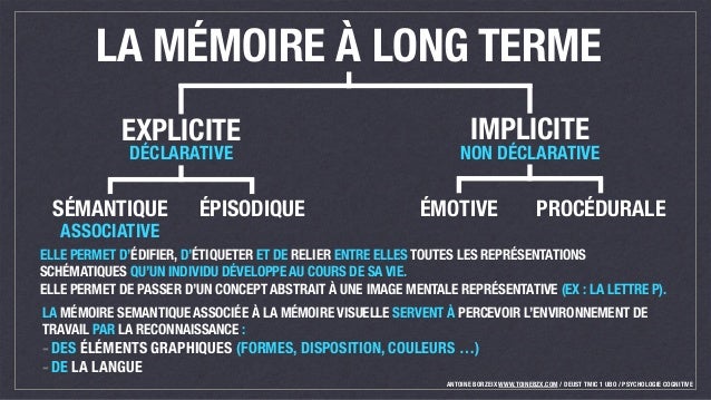 La mémoire et l'ergonomie IHM par antoine borzeix