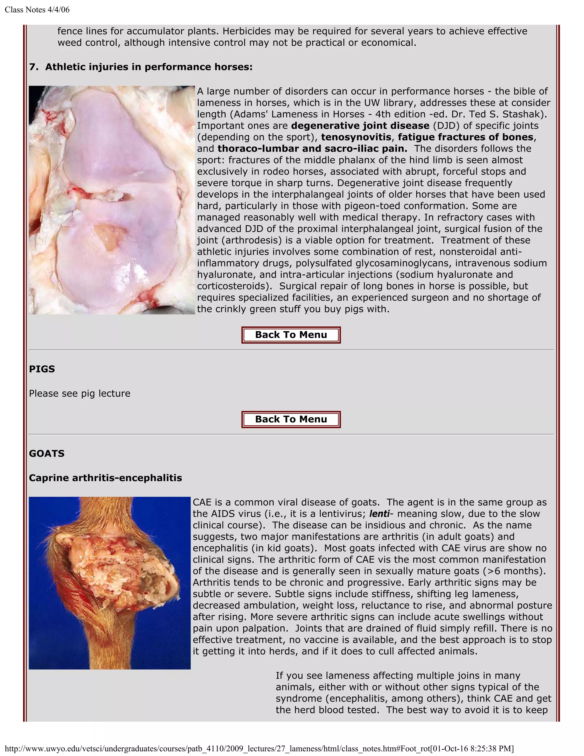 LAMENESS SYNDROMES IN CATTLE, SHEEP, PIGS AND HORSES | PDF | Foot ...