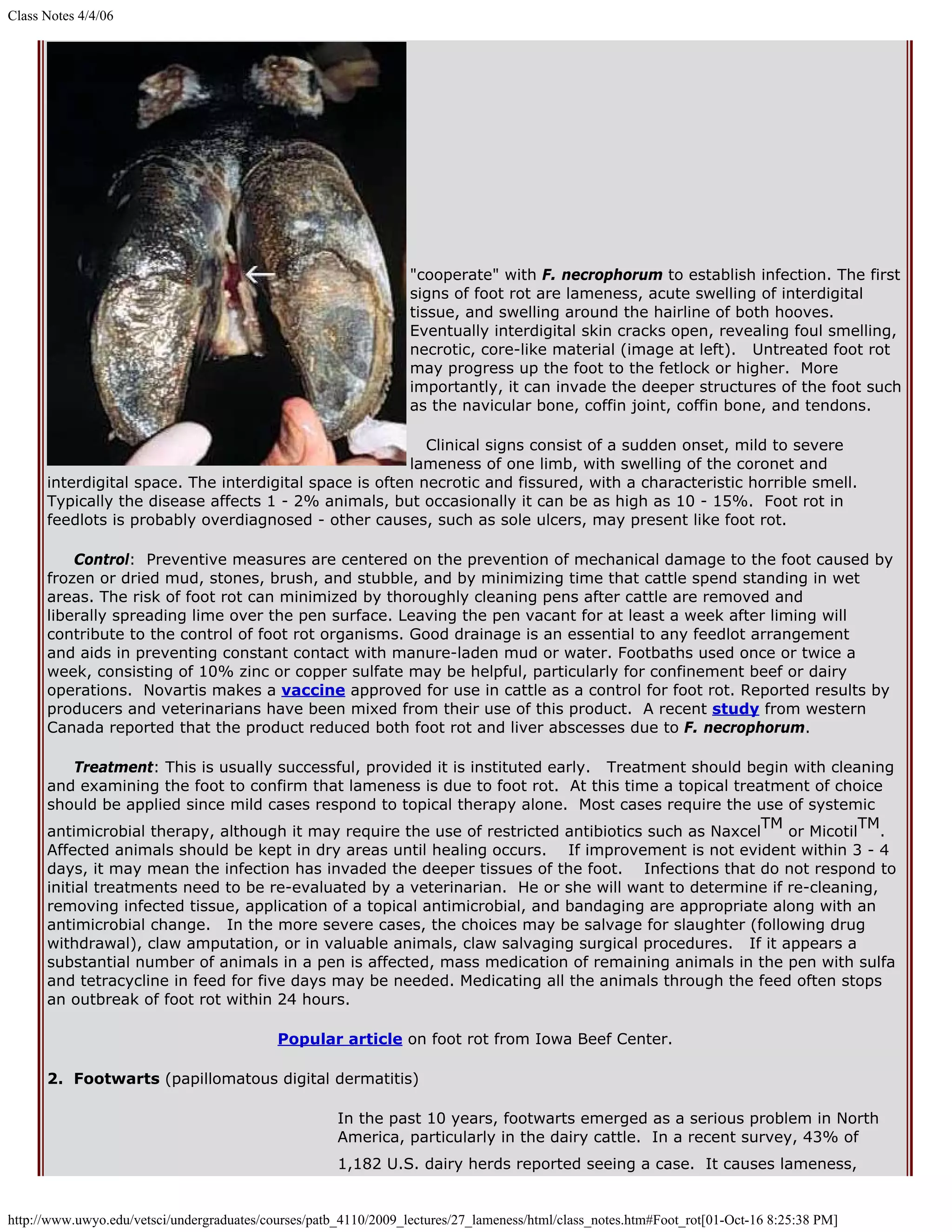 LAMENESS SYNDROMES IN CATTLE, SHEEP, PIGS AND HORSES | PDF | Foot ...