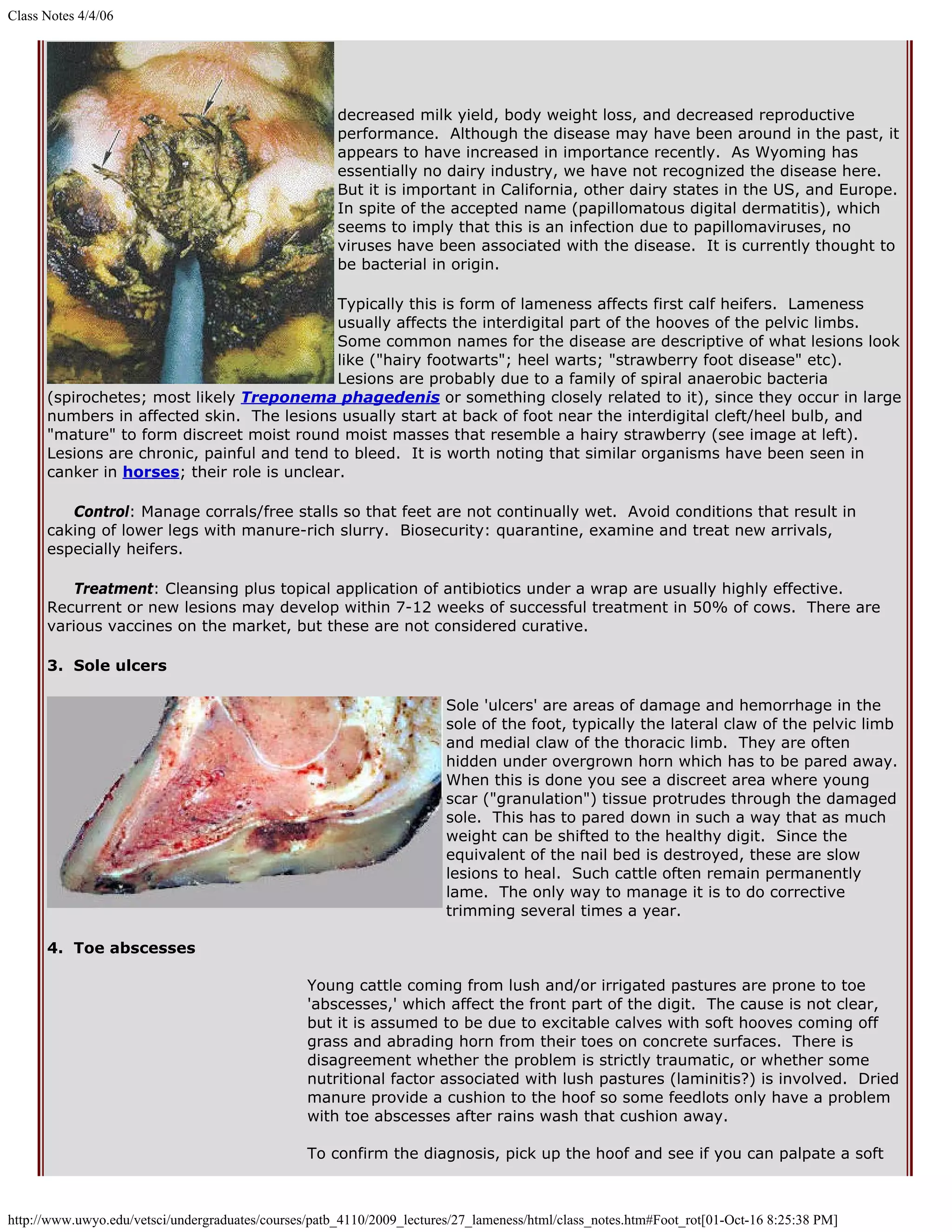 LAMENESS SYNDROMES IN CATTLE, SHEEP, PIGS AND HORSES | PDF | Foot ...