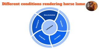 Lameness in equines | PDF