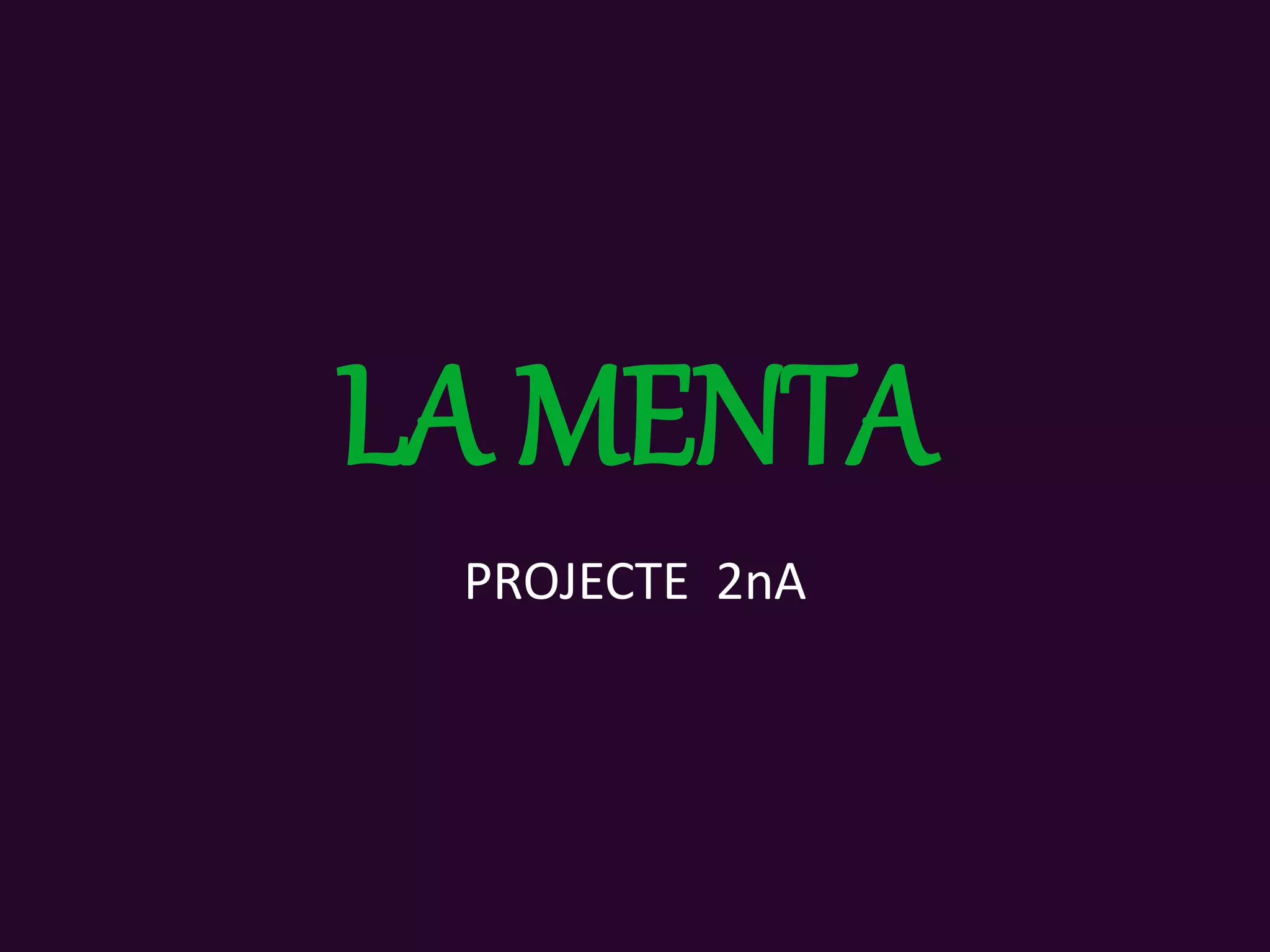 La menta projecte definitiu | PPTX