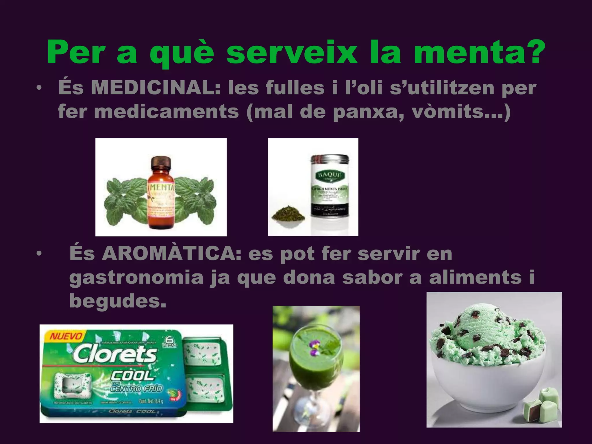 La menta projecte definitiu | PPTX