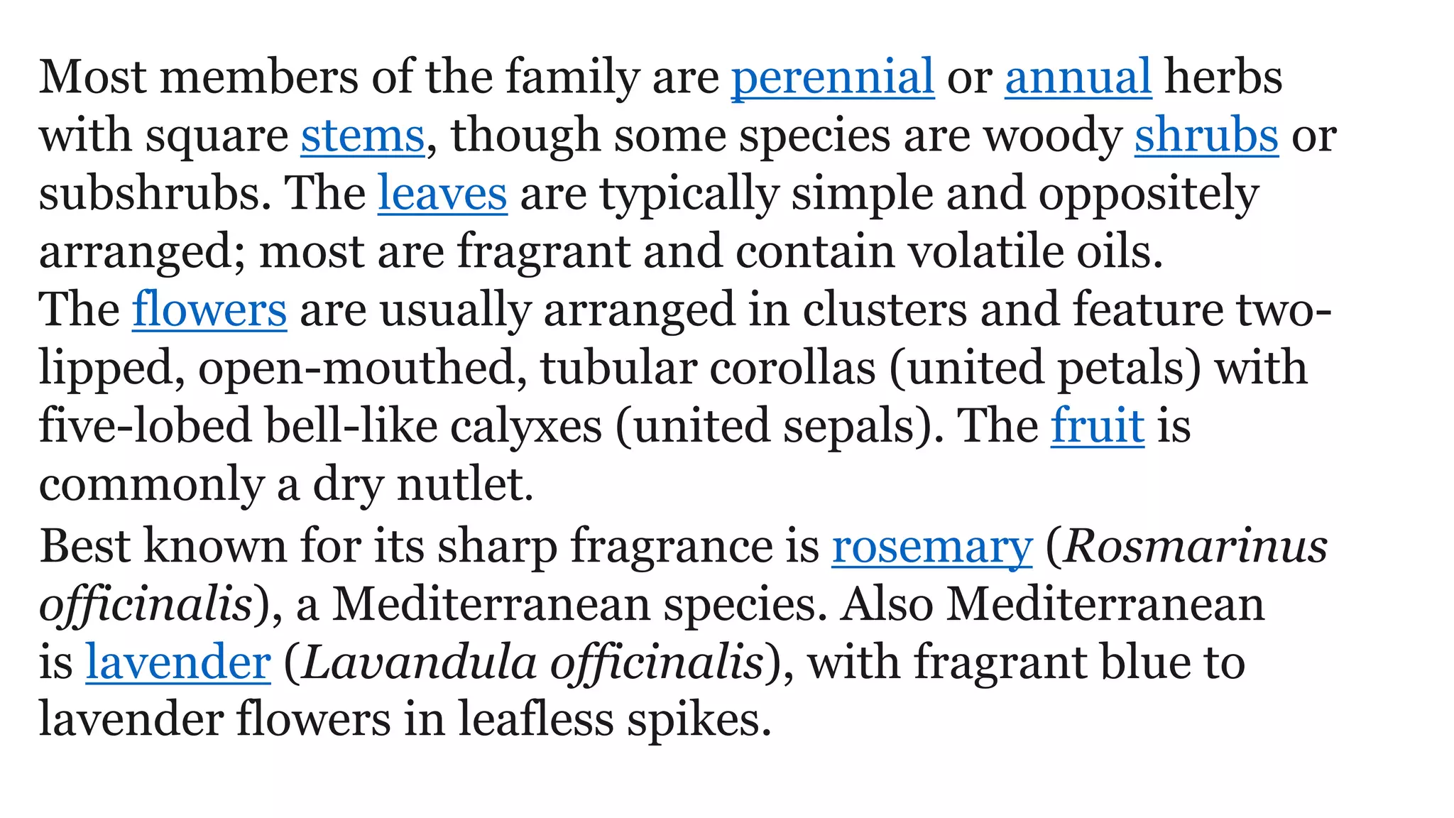 Lamiaceae | PPTX