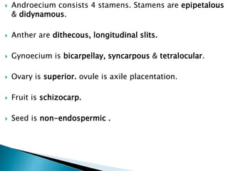 Lamiaceae & nyctaginaceae | PPTX