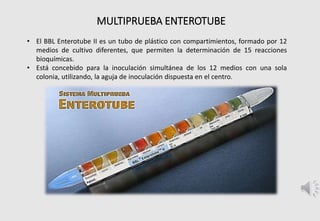 La microbiología de los alimentos - Parte 5.pptx