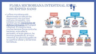 La microbiota intestinal y el microbioma.pptx
