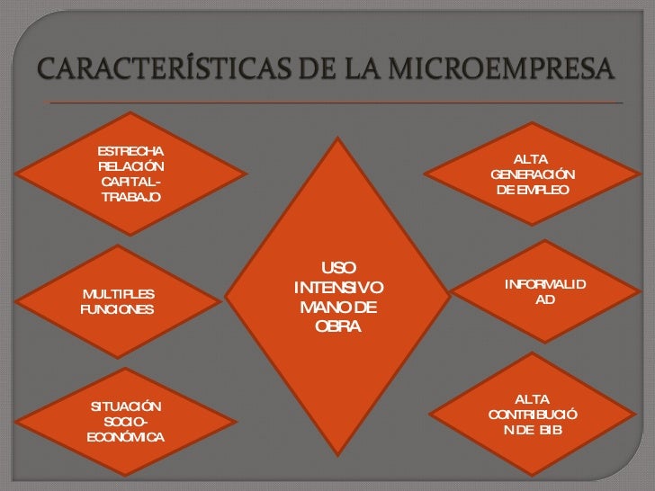La Microempresa