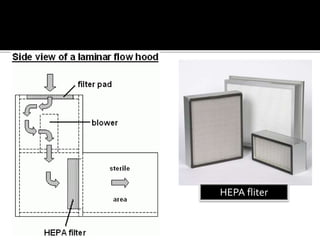 Laminar Air Flow Diagram