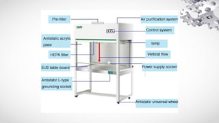 laminar ppt abhinay.ppt biosafty cab inet | PPT