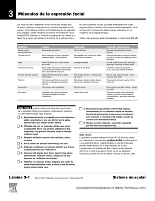 Laminas-Anatomia-Colorear-SLM-BTU-2023.pdf