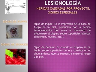 Laminas Lesiologia | PPT