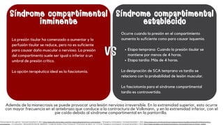 laminas sx compartimental (1).pdf hospital dr domingo luciani | PDF