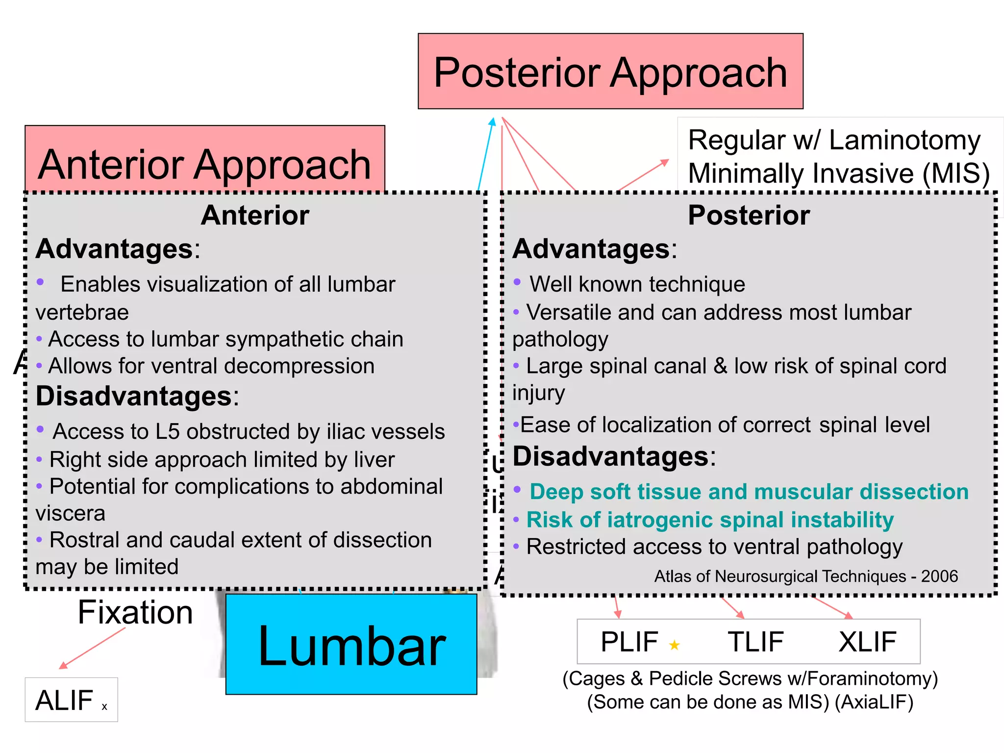Laminectomy vs Discectomy in Rehabilitation | PPT