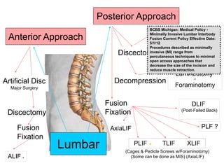 Laminectomy vs Discectomy in Rehabilitation | PPT