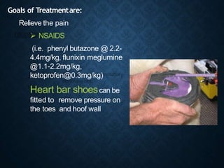 Laminitis IN EQUINES | PPTX