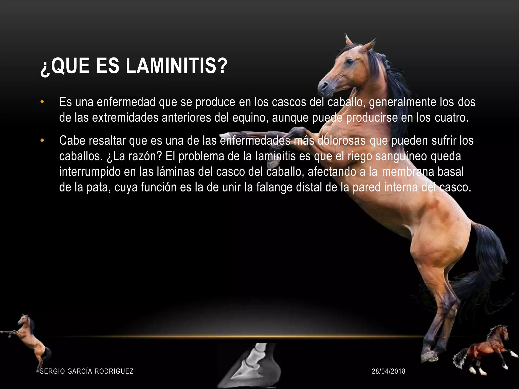 Laminitis en Equinos. MVZ | PPTX