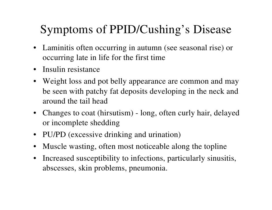 Laminitis IR PPID causes and treatment