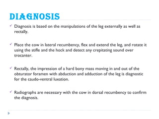 Lamness in cattle | PPT